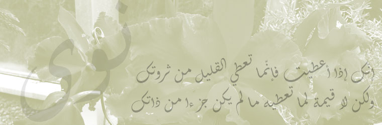 National Arab American Women’s Association (NAAWA) - Listing - Arab America