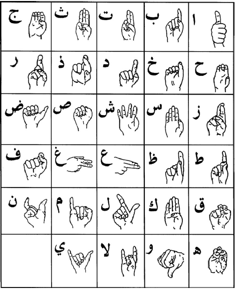 Do You Know About Deaf Communities and Arabic Sign Languages in the ...