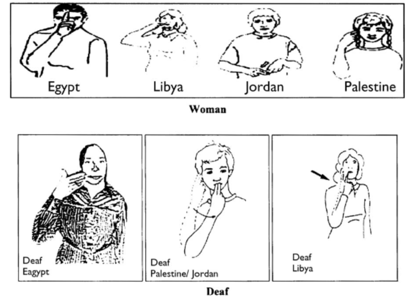 Do You Know About Deaf Communities and Arabic Sign Languages in the ...