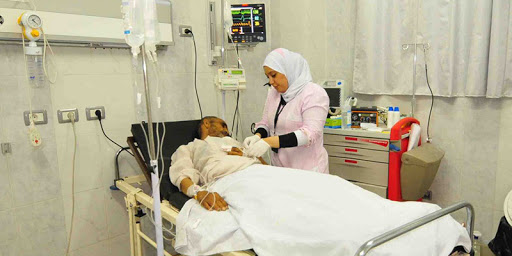 The State of Health Care in the Arab World