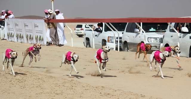 Traditional Arab Sports - Arab America - BLOG