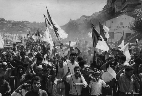 Algeria Vineyards - Historical Significance through French Colonization ...