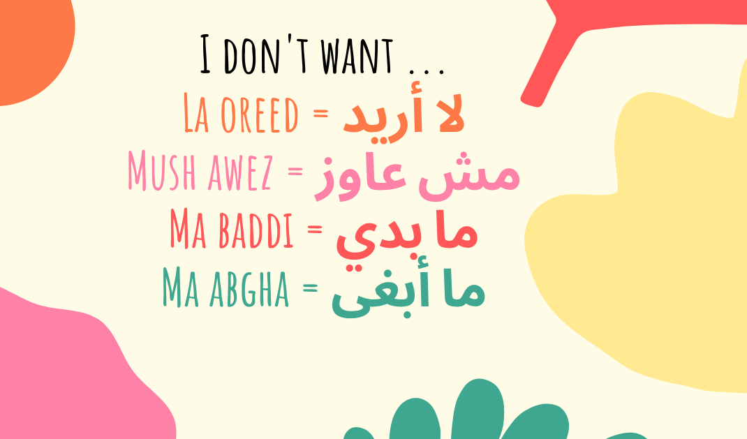 Top 8 Fun Facts About Arabs That the Western World is Not Aware of