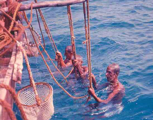 Pearling & Bahrain's Pre-Oil Economy