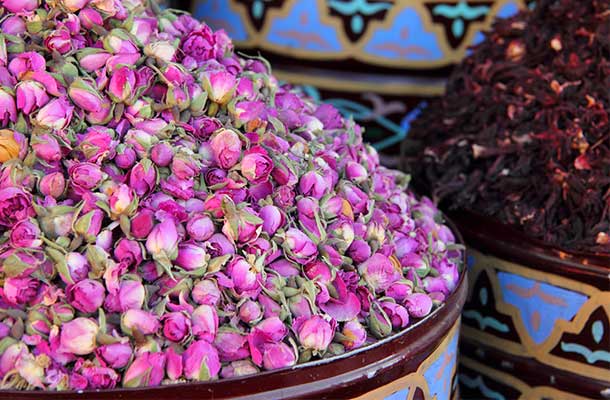 8 Amazing and Beautiful National Flowers of the Arab World