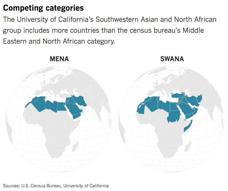 "Citizenry Anger": What Does it Mean for MENA and SWANA Americans?