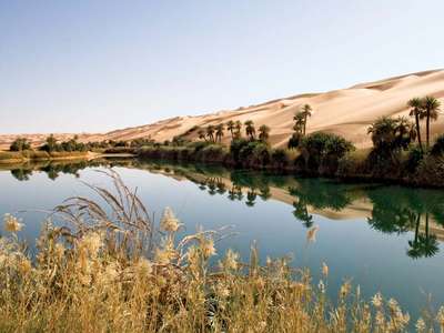 Oasis Across The Middle East North Africa