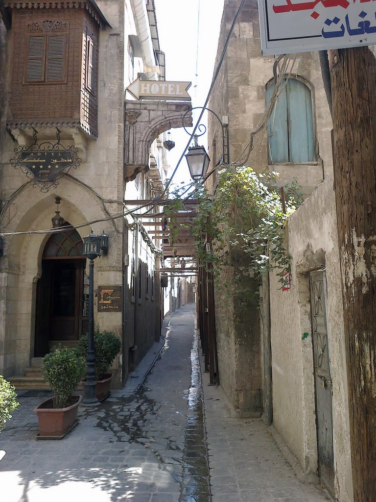 House Architecture of the Middle East: The Traditional Syrian Courtyard ...