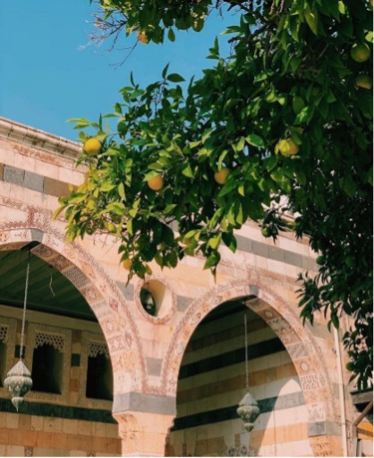 House Architecture of the Middle East: The Traditional Syrian Courtyard ...