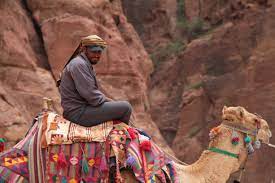 Nomads and Camels: Geographic Influences on the Bedouin Diet