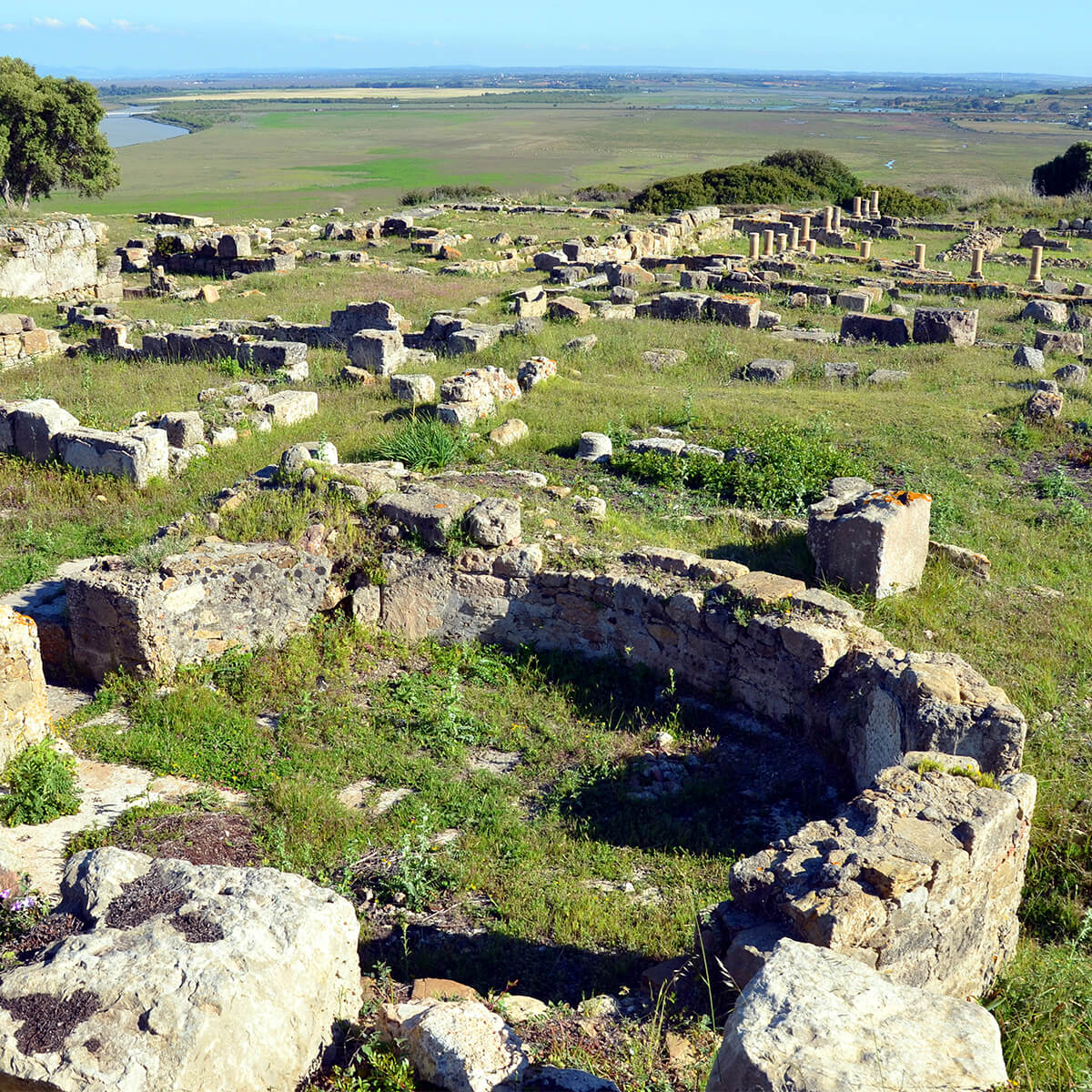 Morocco’s Roman Relics: A Glimpse into Ancient Civilization