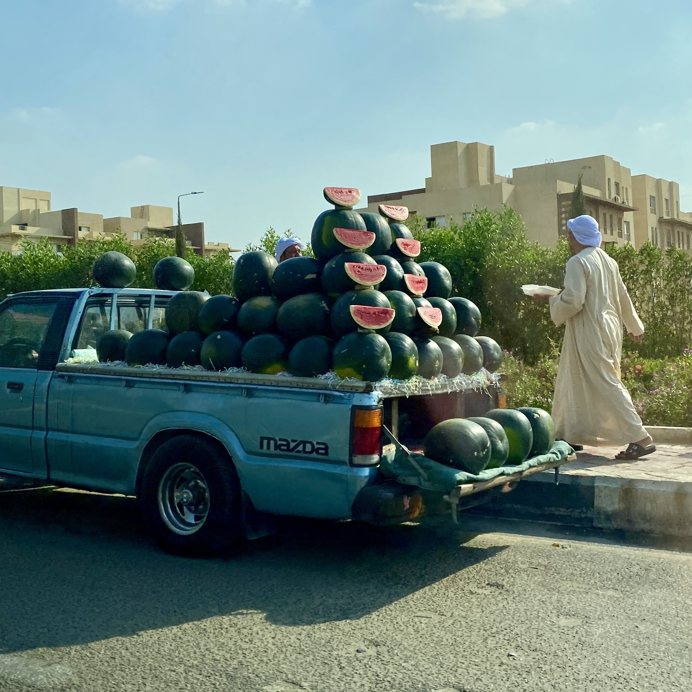 Street Vendors of Egypt - Arab America