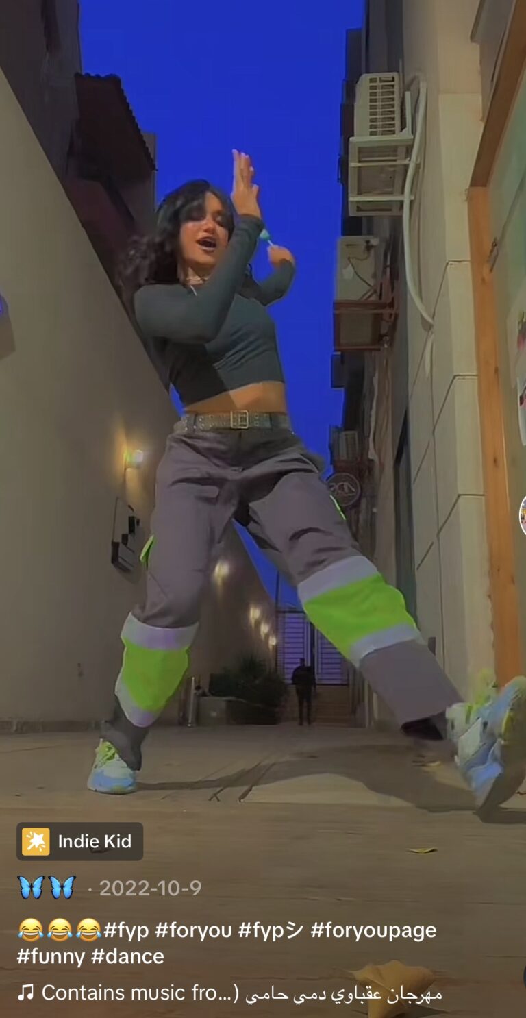 Mahraganat: Egyptian Street Music - Arab America