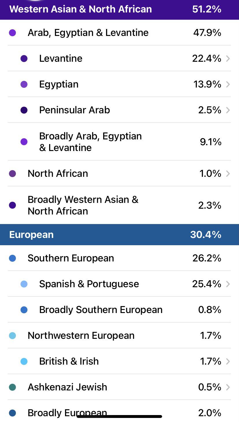 Rediscovering Roots: Exploring Arab American Genealogy ...