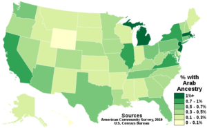 Navigating Stereotypes and Cultural Shocks - Arab America