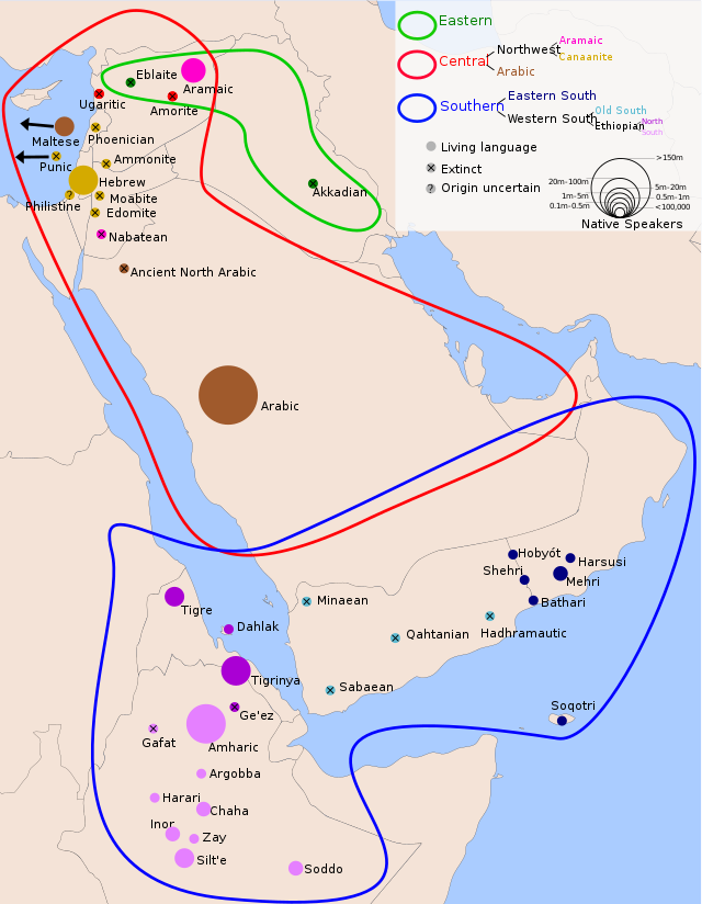 Arabs are Semites too - Arab America