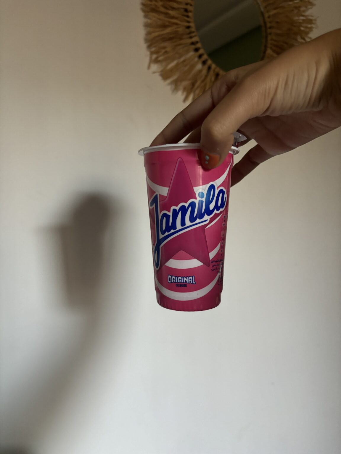 Moroccan Childhood Nostalgia: Summers in the Bled