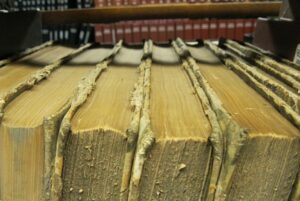 The Middle East and the Foundations of Algebra