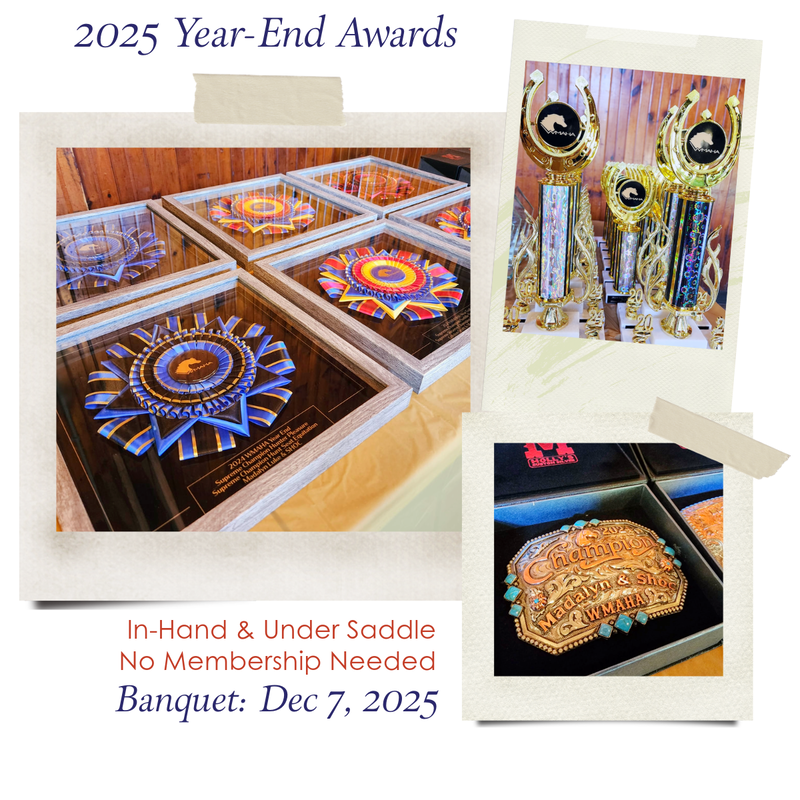 West Michigan Arabian Horse Association: 2025 Year-End Awards - Event ...